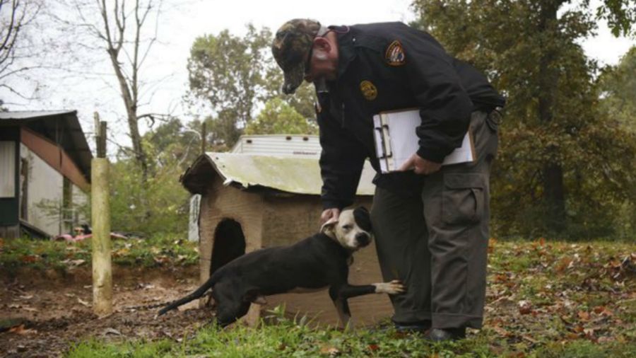 5 charged, 23 dogs rescued in alleged MS dog-fighting ring