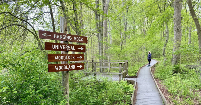 An iconic trail in Rhode Island everyone should hike once in their lifetime
