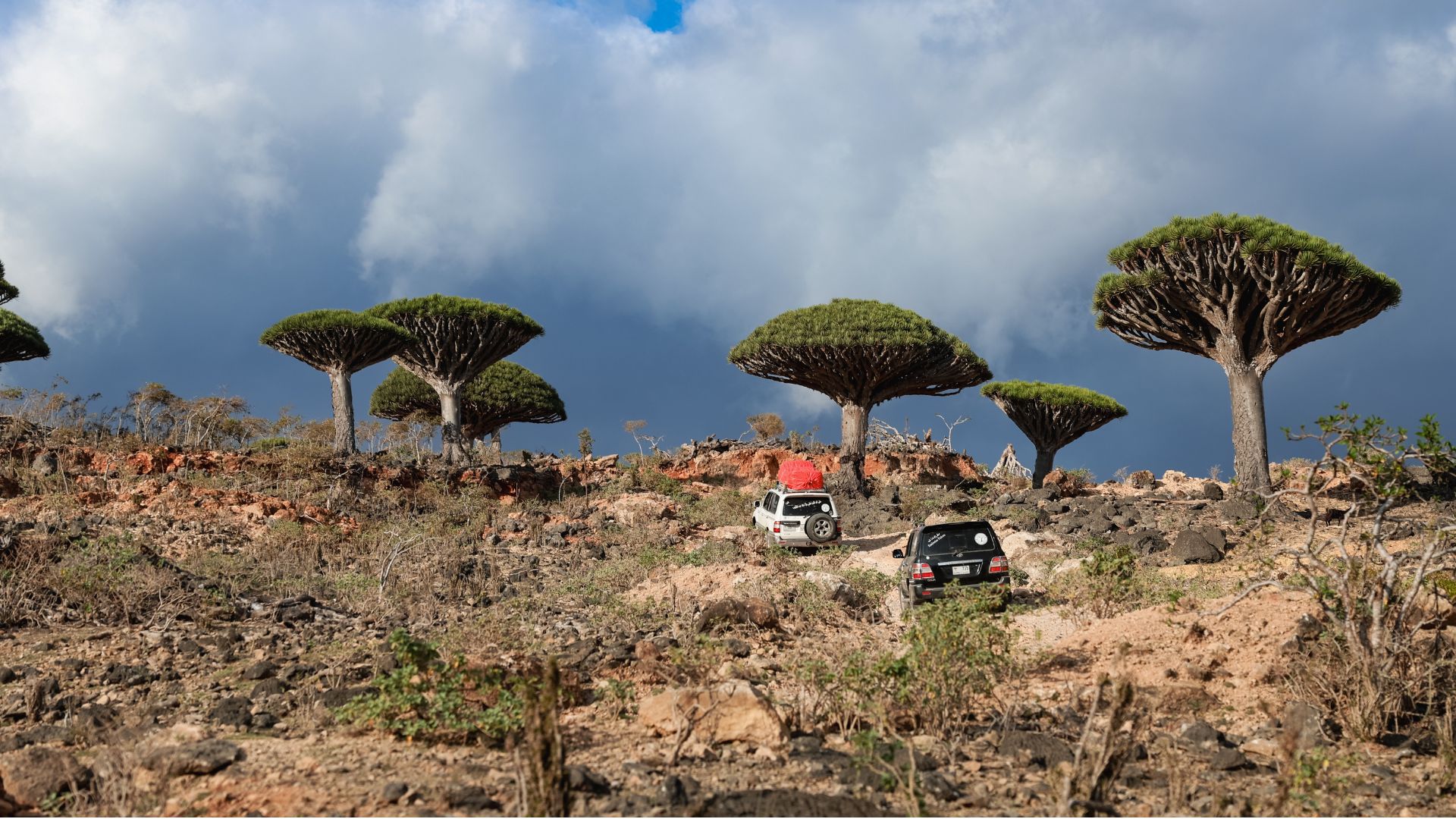 600 tourists stranded on remote island despite State Department 'do not ...