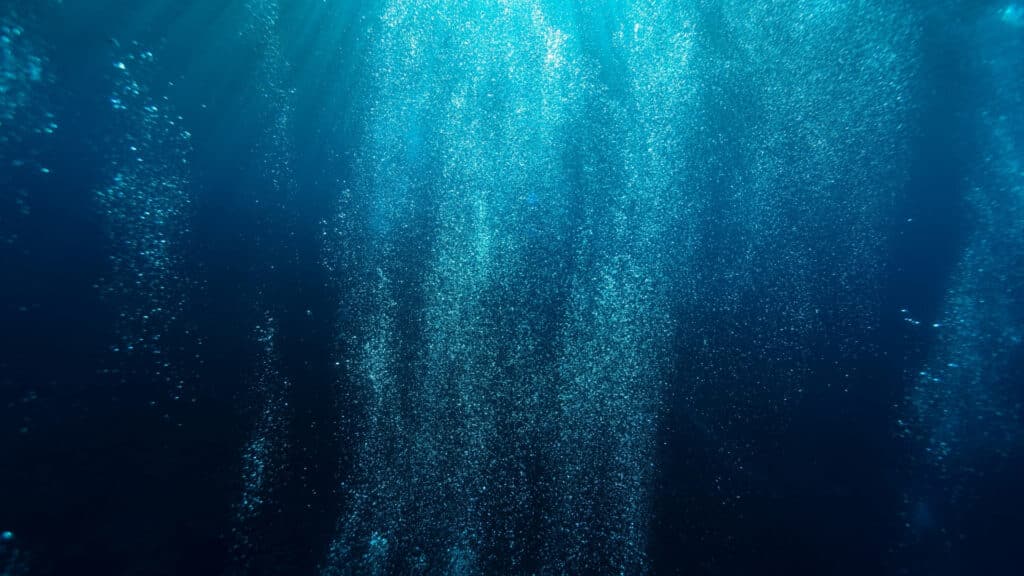 21 ocean facts that both terrified and wowed us