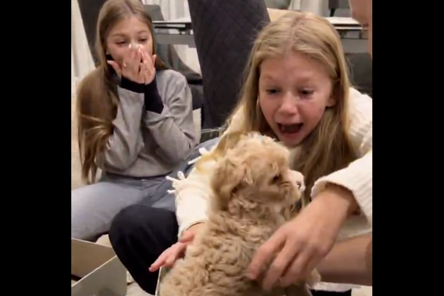 Middle child has priceless reaction to being surprised by a puppy