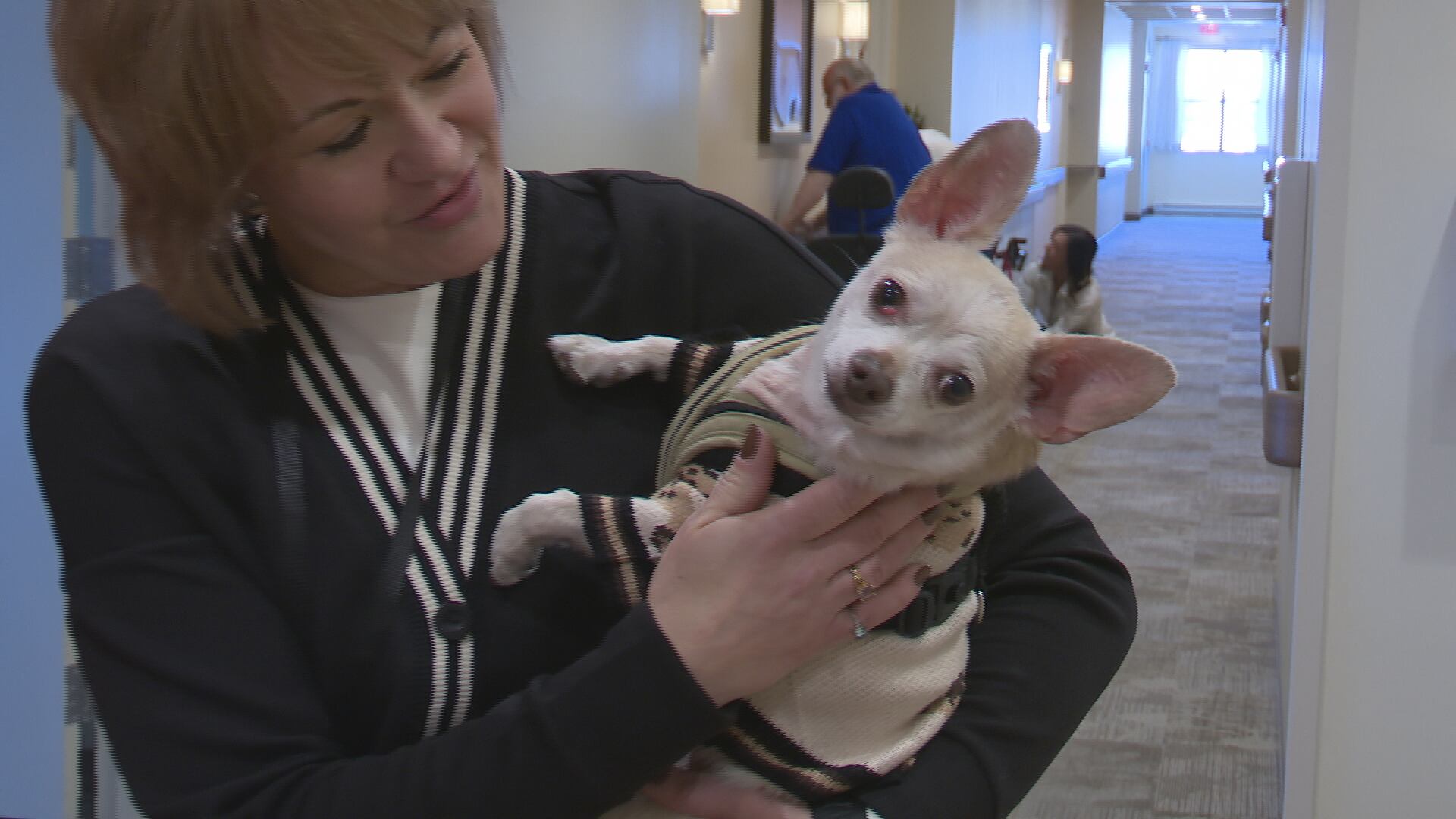 Fashionable dog brings joy to Rockford area living community