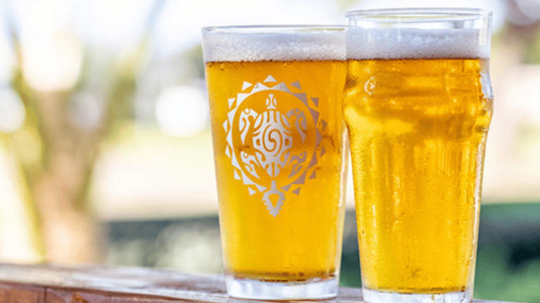 The hands down best brewery in every state