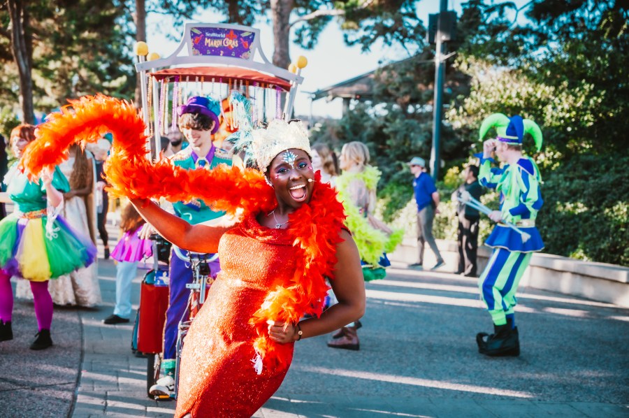 Celebrate Mardi Gras at SeaWorld San Diego with family-fun entertainment