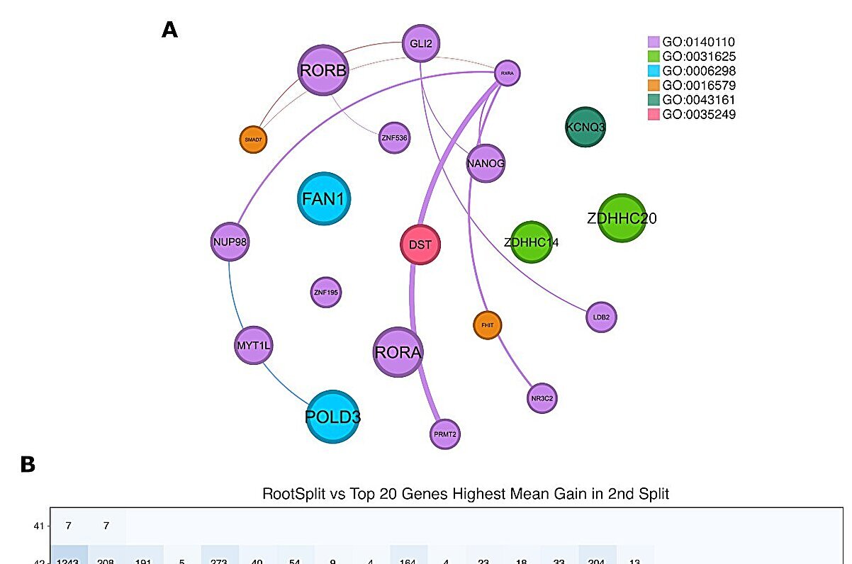 Machine learning identifies factors that may determine the age of onset ...