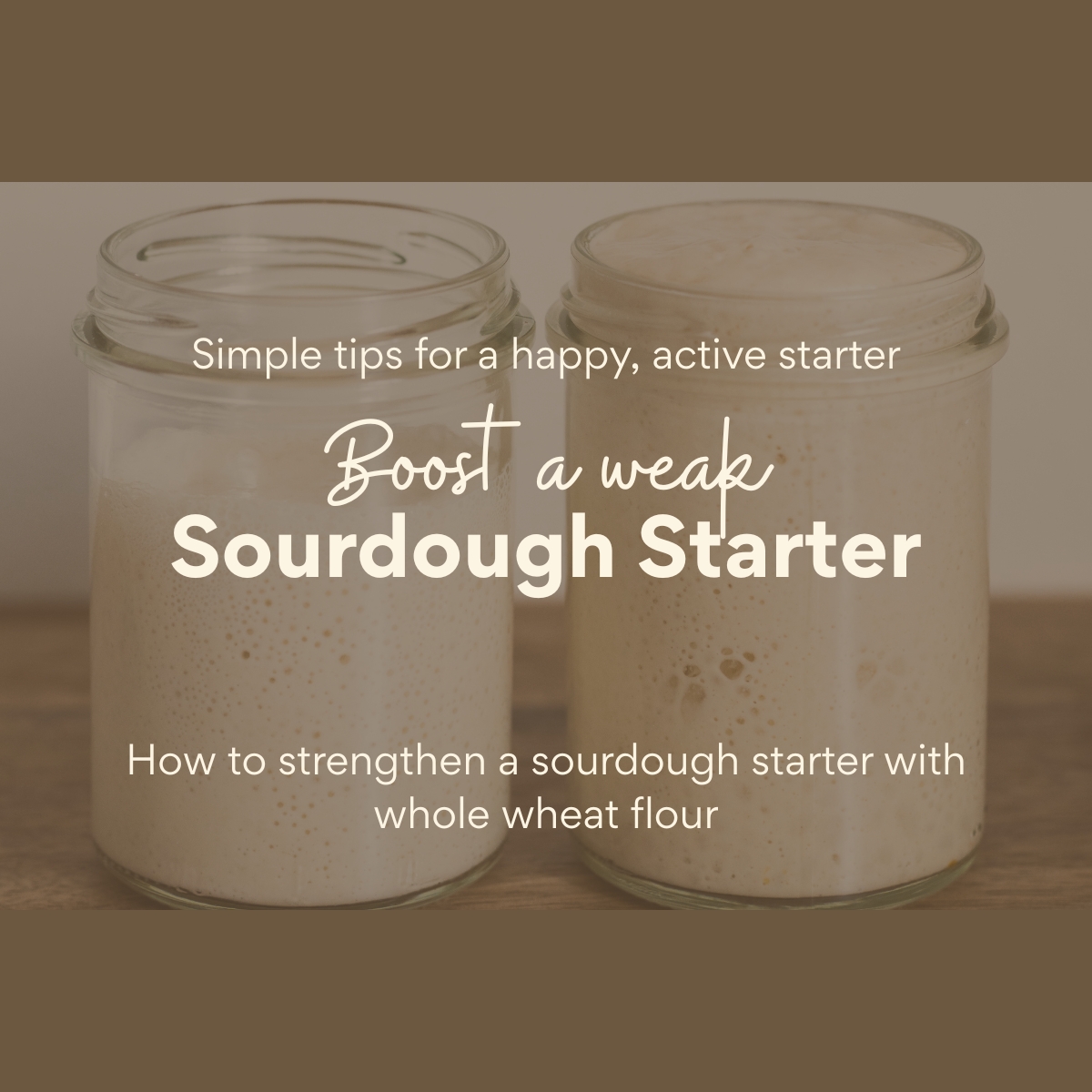 How to strengthen sourdough starter with whole wheat flour