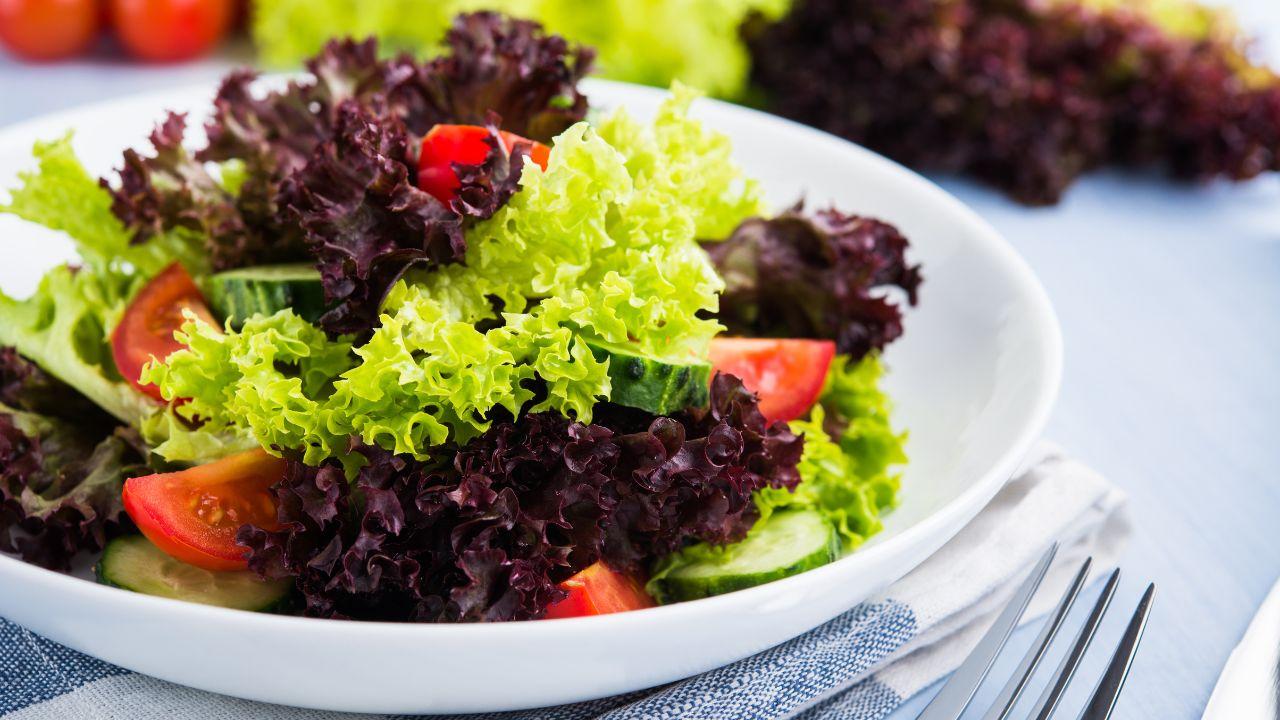 Verduras conservadas: dicas para as folhas durarem mais