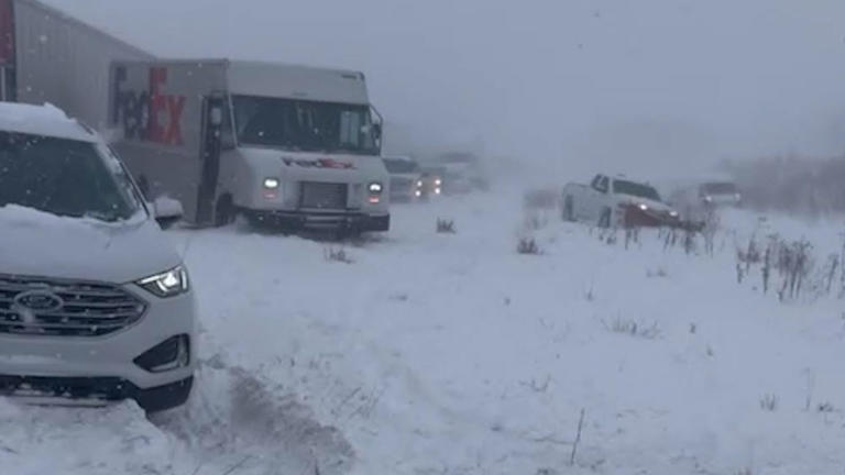 Watch driver walk through wreckage after 100-car pileup in Michigan
