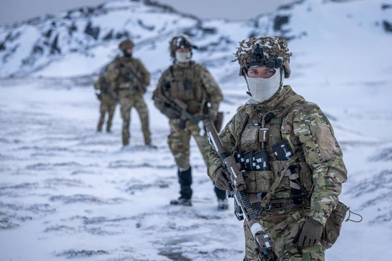 Denmark planned to blow up Greenland's runways to stop US invasion