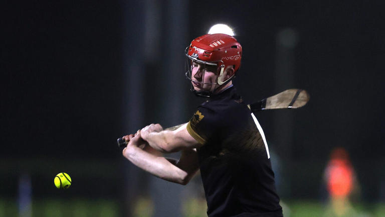 Brian Hogan, Kevin McCarthy and Jack Leamy included in Tipperary panel ...