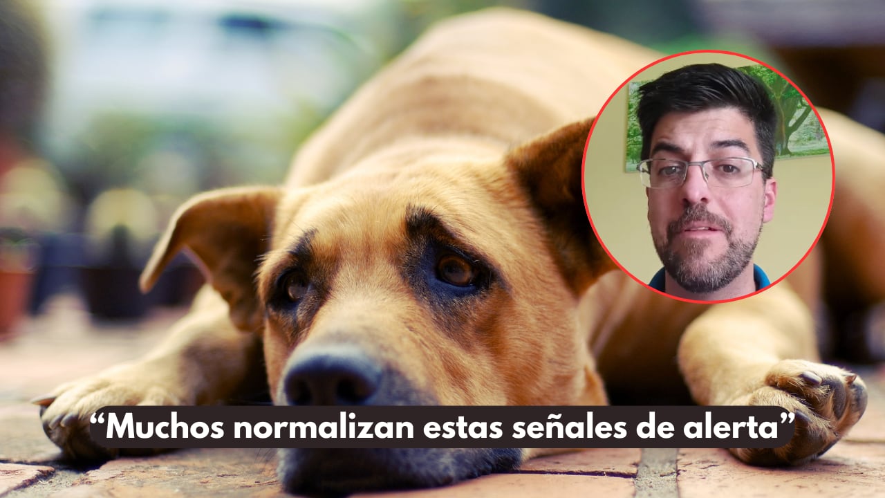 Estas tres señales indican que algo no va bien en la salud articular de ...