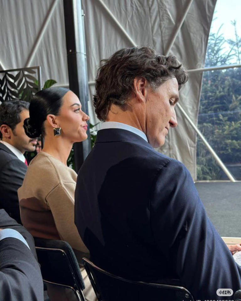 Katy Perry Debuta de Manera Brillante como "Primera Dama" del Brazo de ...