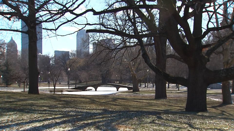 Snow and rain showers on Wednesday, slightly warmer (1/20/26)