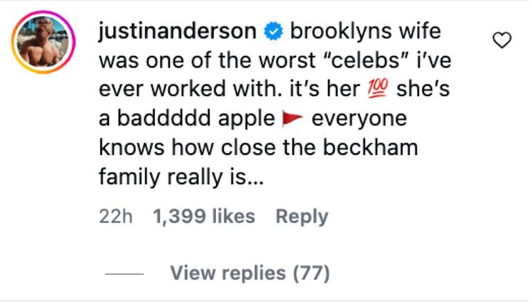 Nicola Peltz’s ex-hairstylist backs Beckhams in family feud: Brooklyn’s ...