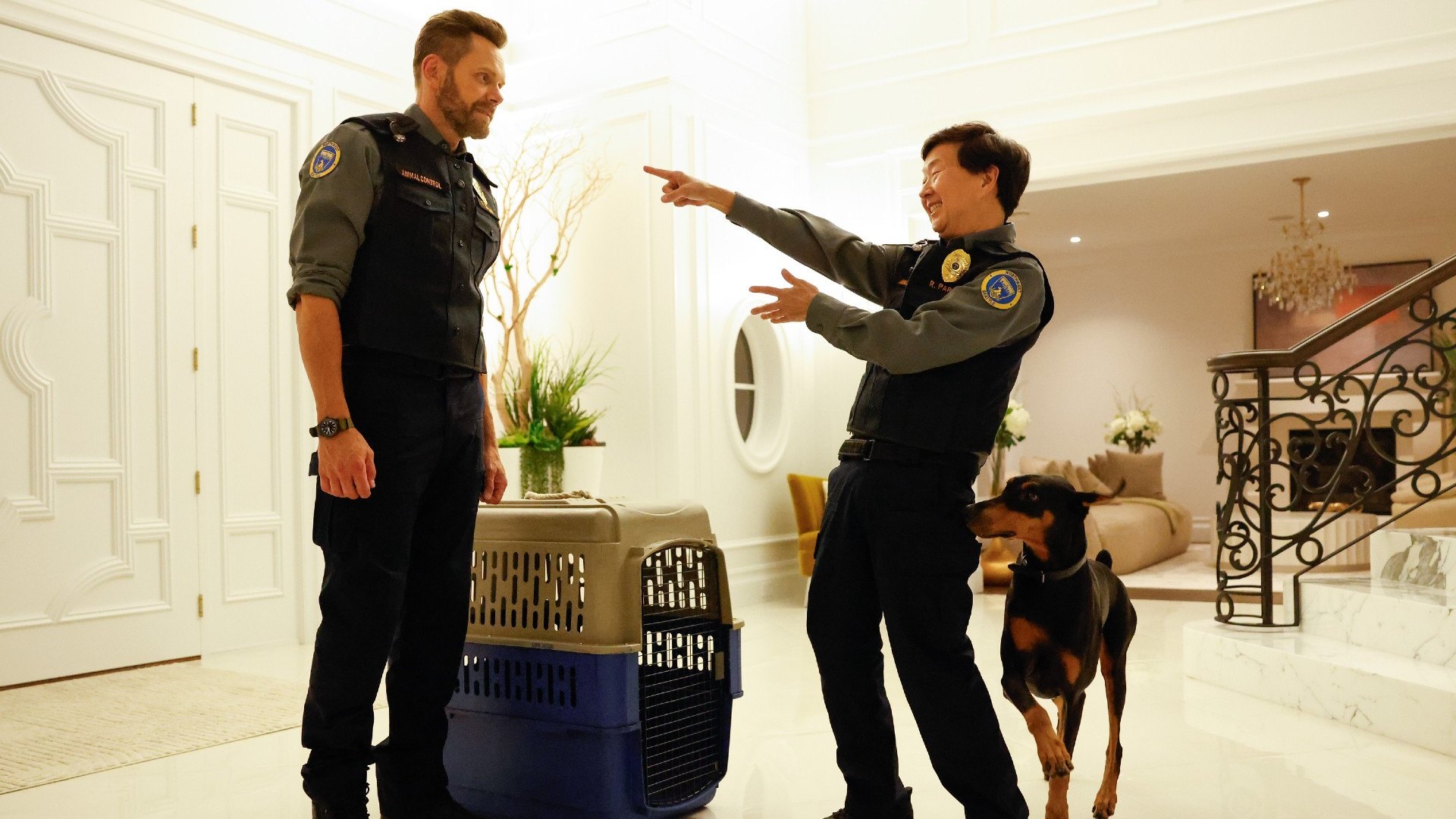 7 best Netflix background shows to watch (January 2026): 'Animal ...