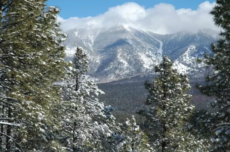 This cozy Airbnb is the perfect base for exploring Arizona's most ...