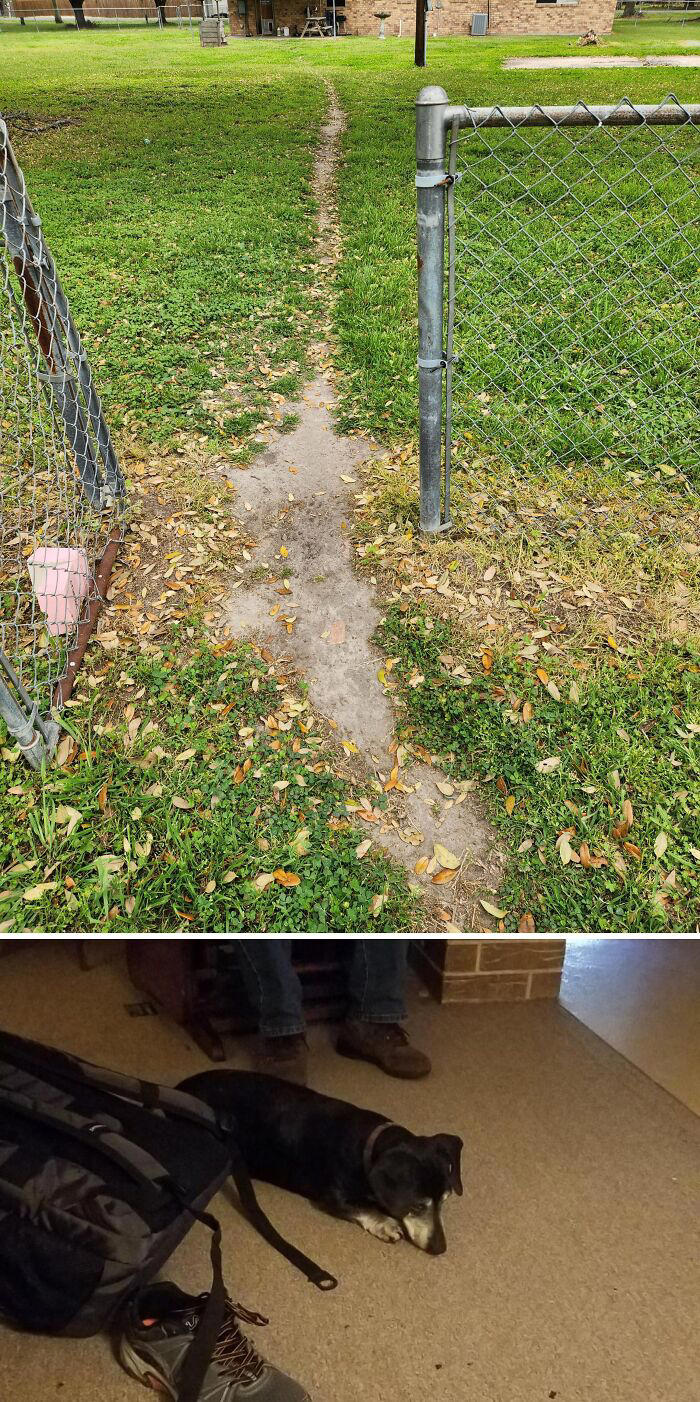 94 desire paths that show human stubbornness in the nicest way possible ...