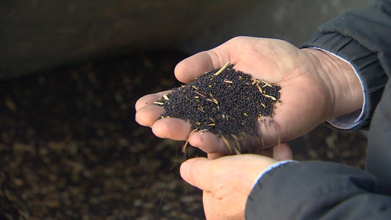 Premier Scott Moe to announce details of China-Canada preliminary ...