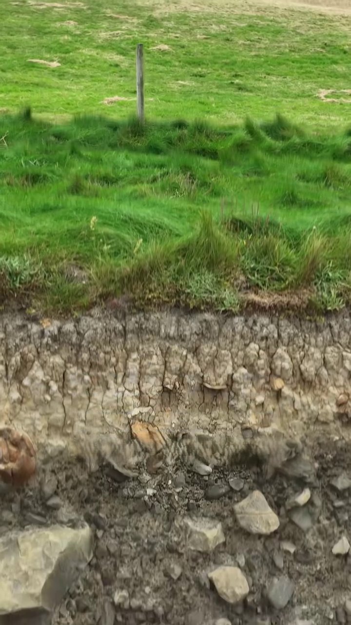 Where would you end up digging through Earth?