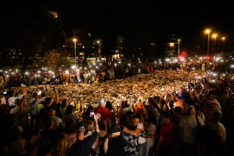 Australia cracks down on guns after Bondi terrorist massacre