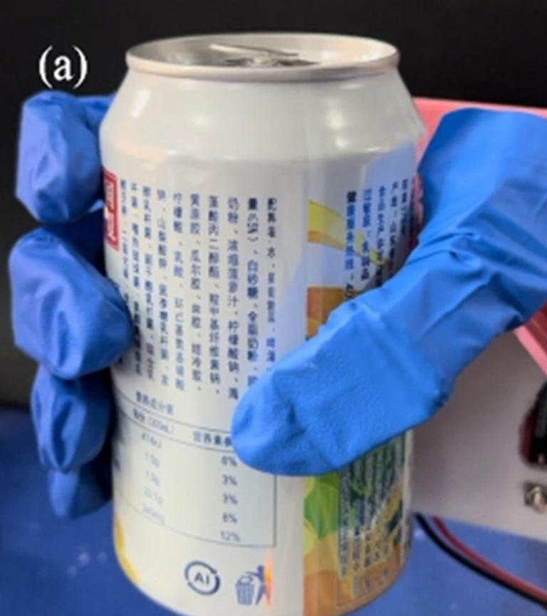 Chinese scientists give fake limbs helping hand by using AI