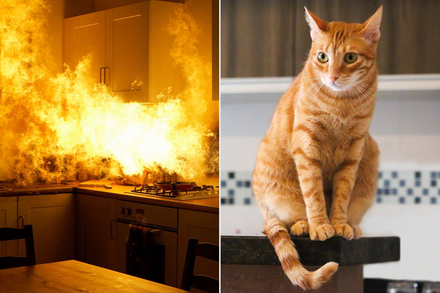 Cat causes accidental house fire after jumping onto stove in Texas home