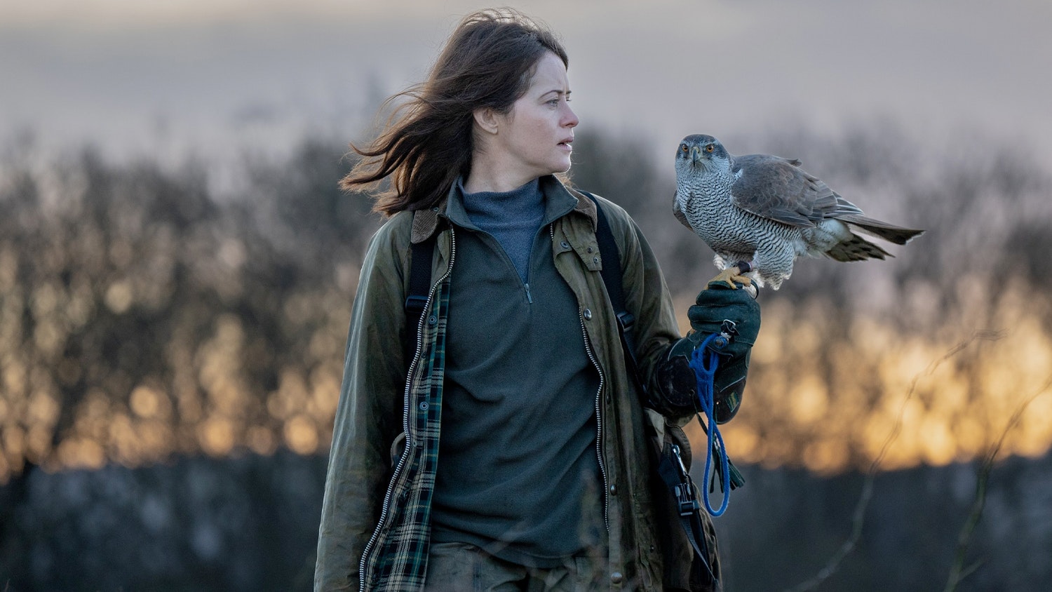 H is for hawk