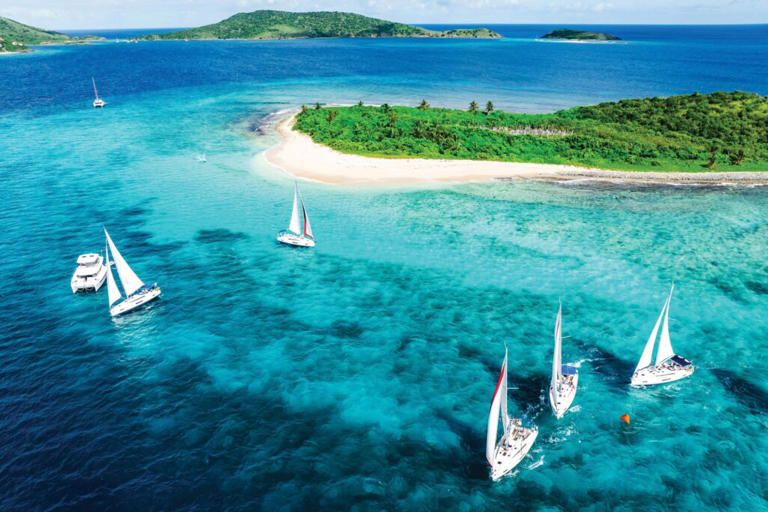 How Never Alone won the Caribbean Regatta Championship