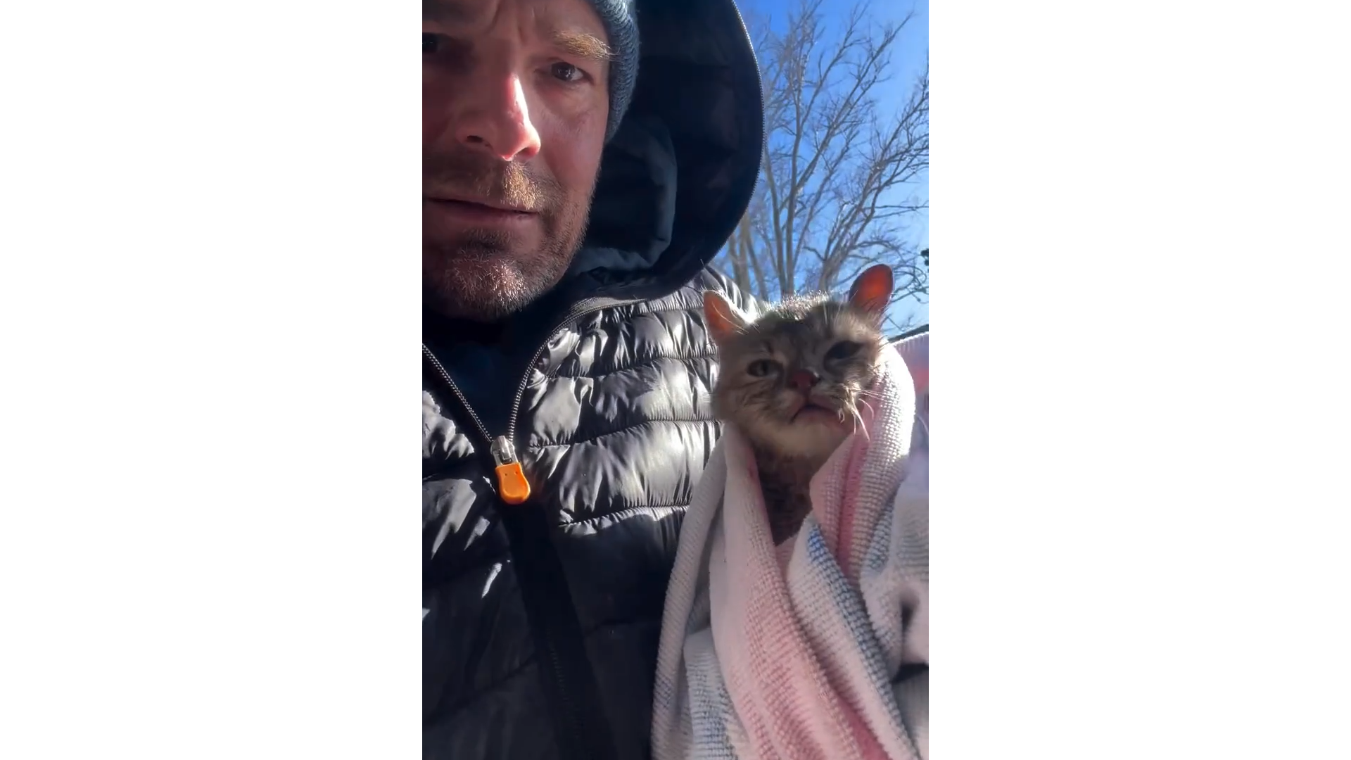 Man saves cat whose paws were frozen stuck on a metal support beam