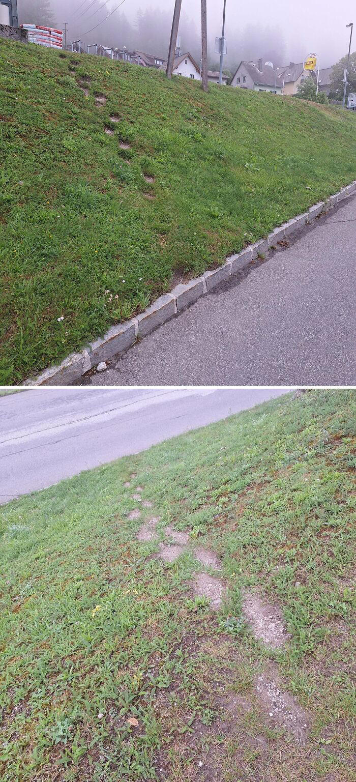 94 desire paths that show human stubbornness in the nicest way possible ...