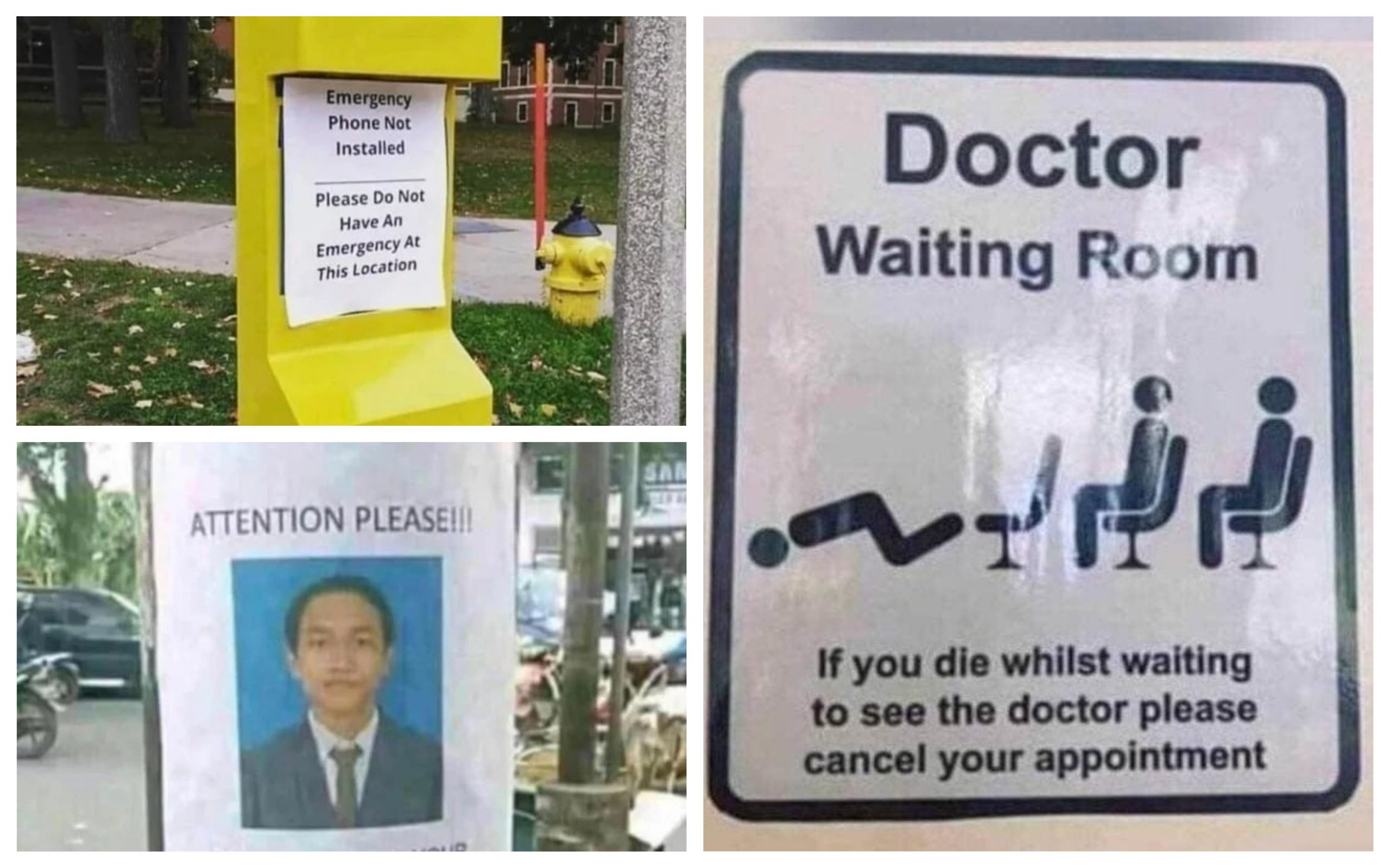 It's a sign: These signs make us do a double-take