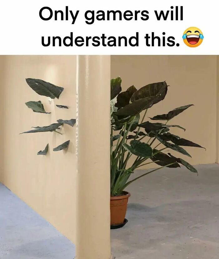 100 funny and relatable memes that prove gamers are living a completely ...