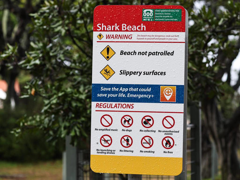 'Asleep': Family break silence on shark attack