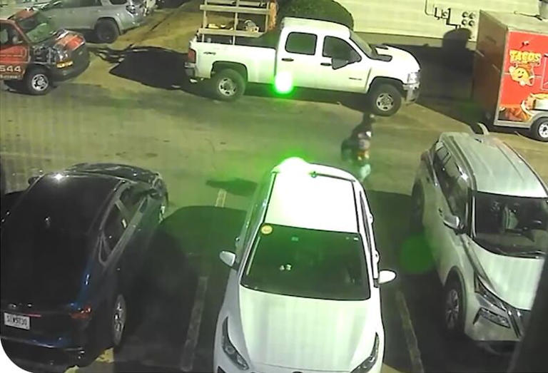 Watch: Police link theft suspect to 11 cases after foot chase in Gwinnett