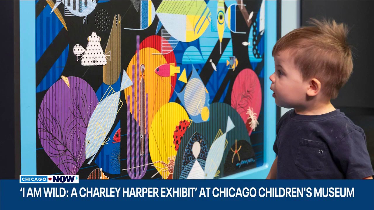Chicago Children’s Museum opens Charley Harper exhibit | ChicagoNOW
