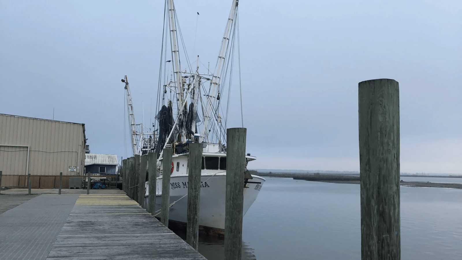 Federal appeals court urged to reel in fishing monitor rules