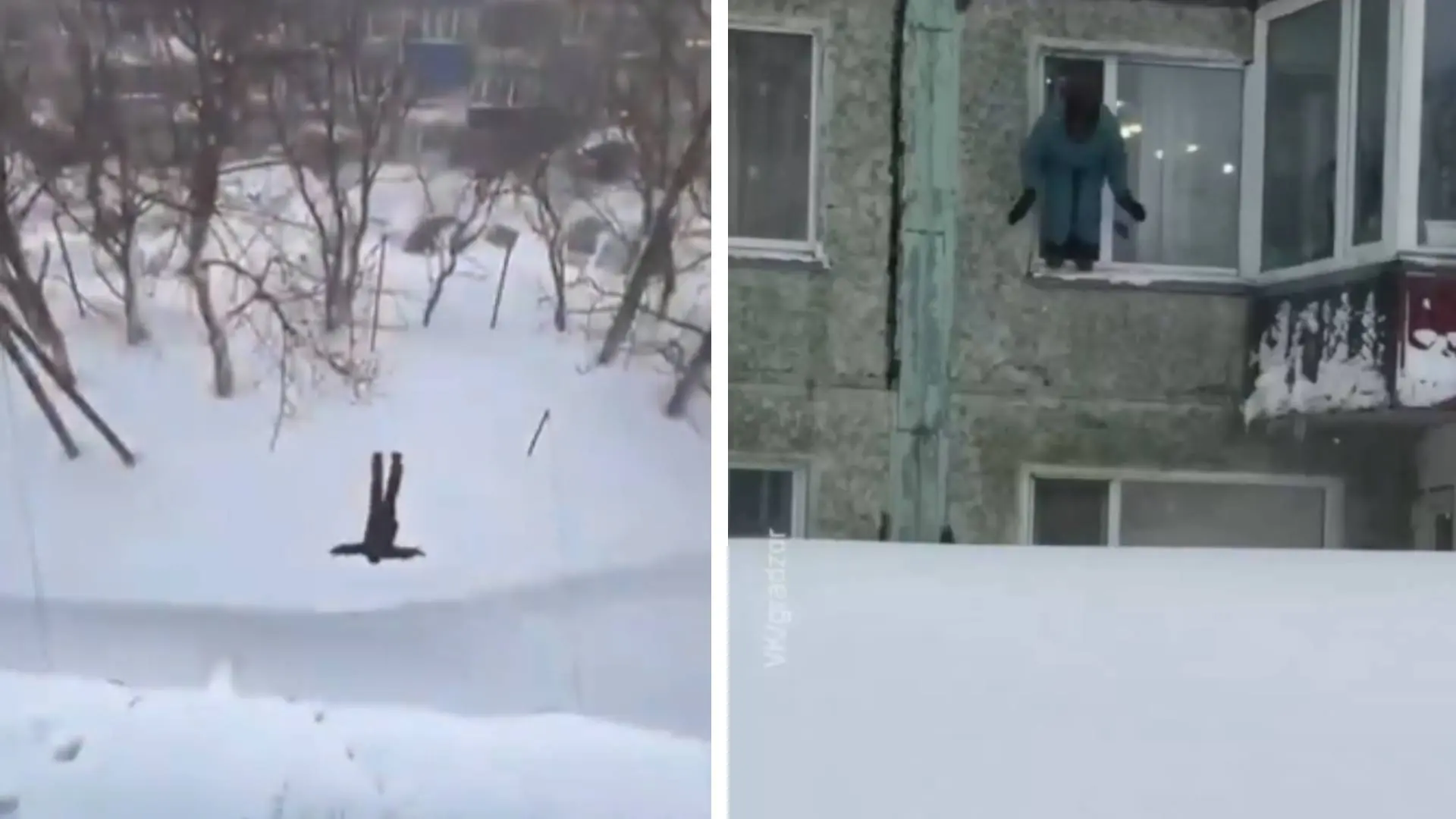 La intensa helada en Kamchatka, Rusia, deja imágenes virales de gente ...