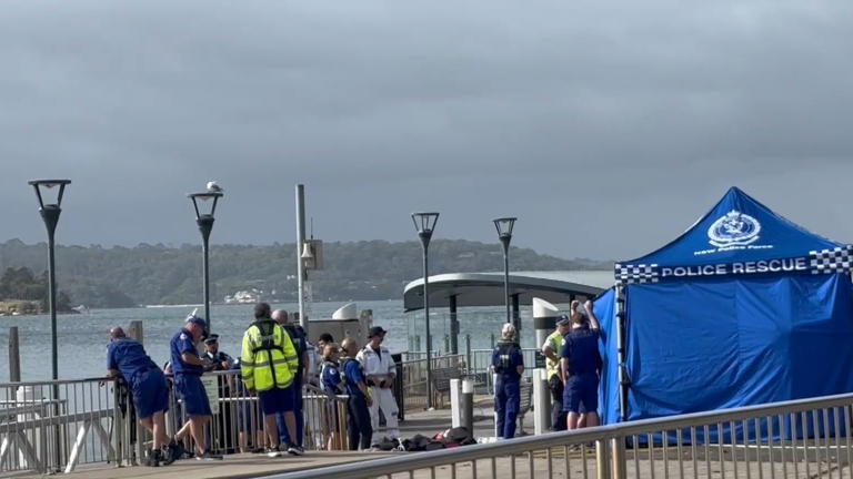 Call for cull after spate of shark attacks 'misinformed', expert says