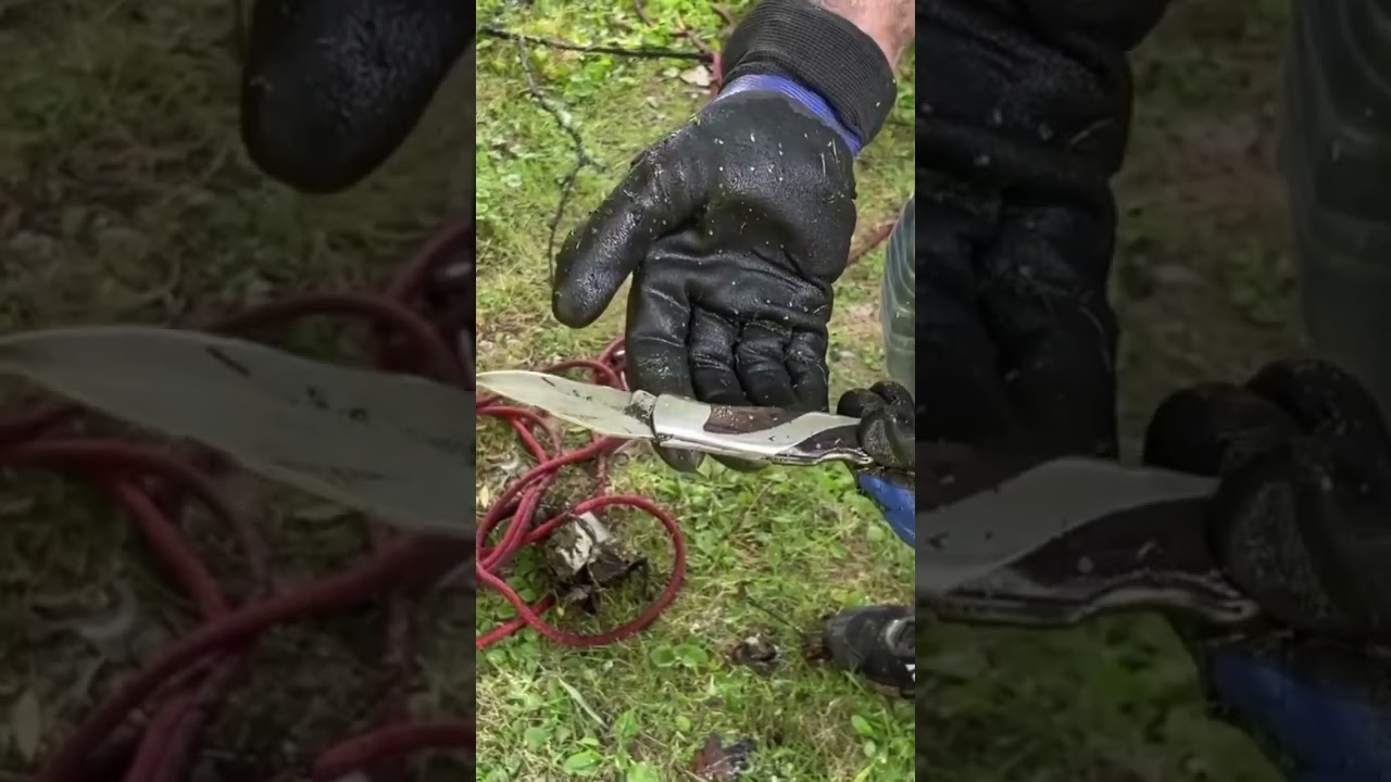 I never expected this while magnet fishing!