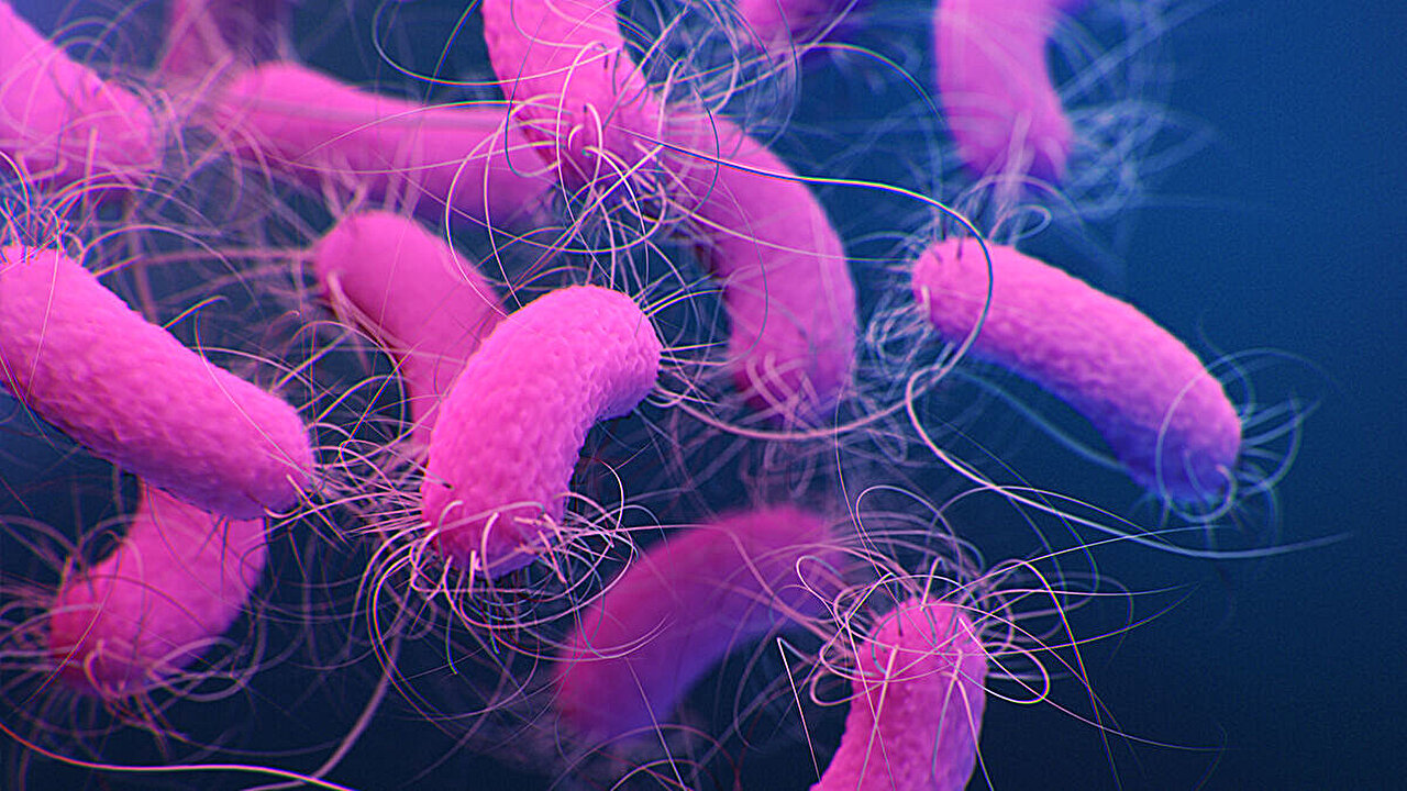 How light suppresses virulence in an antibiotic-resistant pathogen