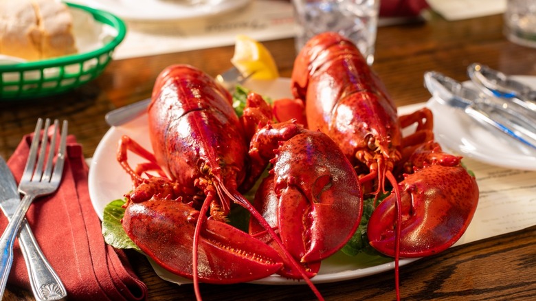 Not every part of a lobster is edible and many people learn too late
