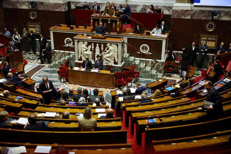 French PM forces part of budget bill through lower house without vote