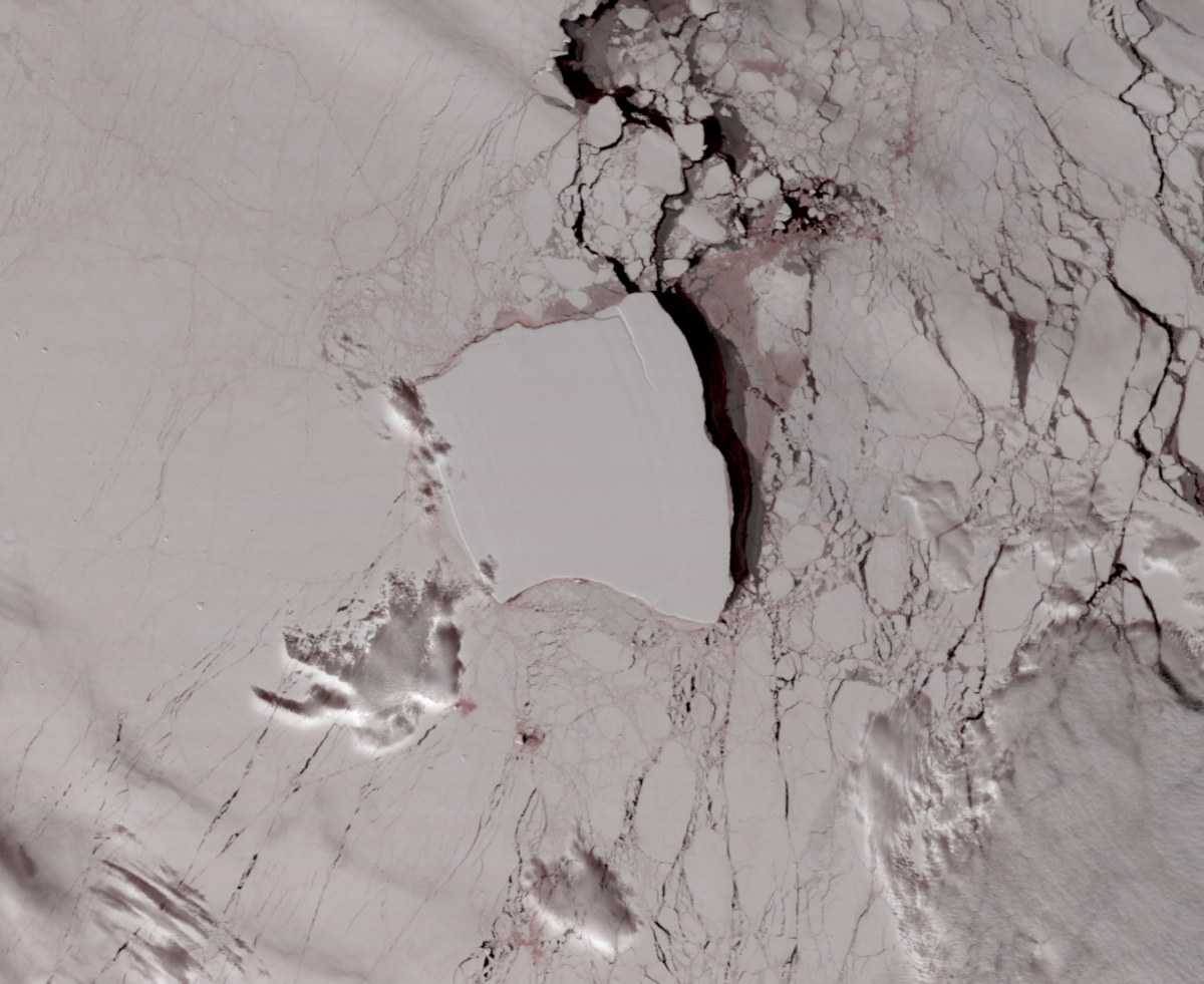Mapped: World's largest iceberg runs aground off South Georgia