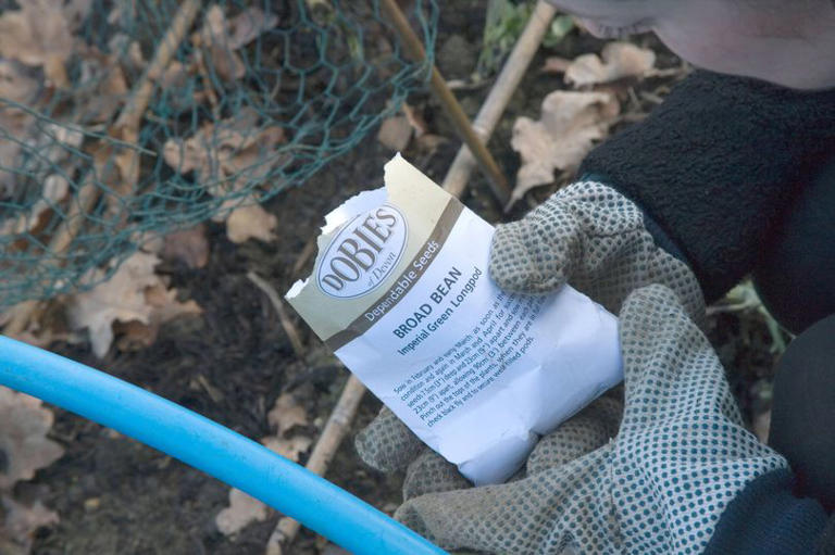 'Must-do' gardening jobs in February to give you a head start for spring