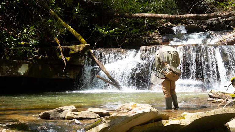 The fiberglass vs graphite debate, here’s when I choose a glass fly rod ...