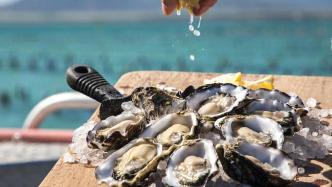 Best camping spots on the Eyre Peninsula