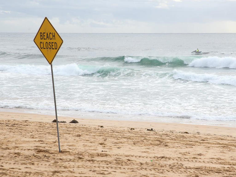 'Asleep': Family break silence on shark attack