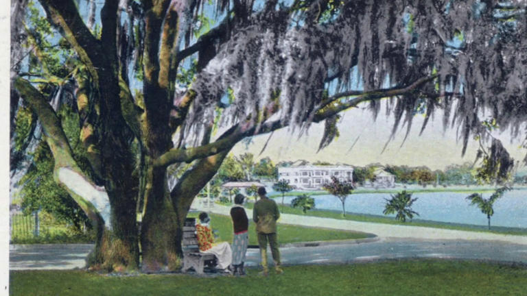 Lovers’ Oak: The history behind tree along Lake Morton that’s been ...