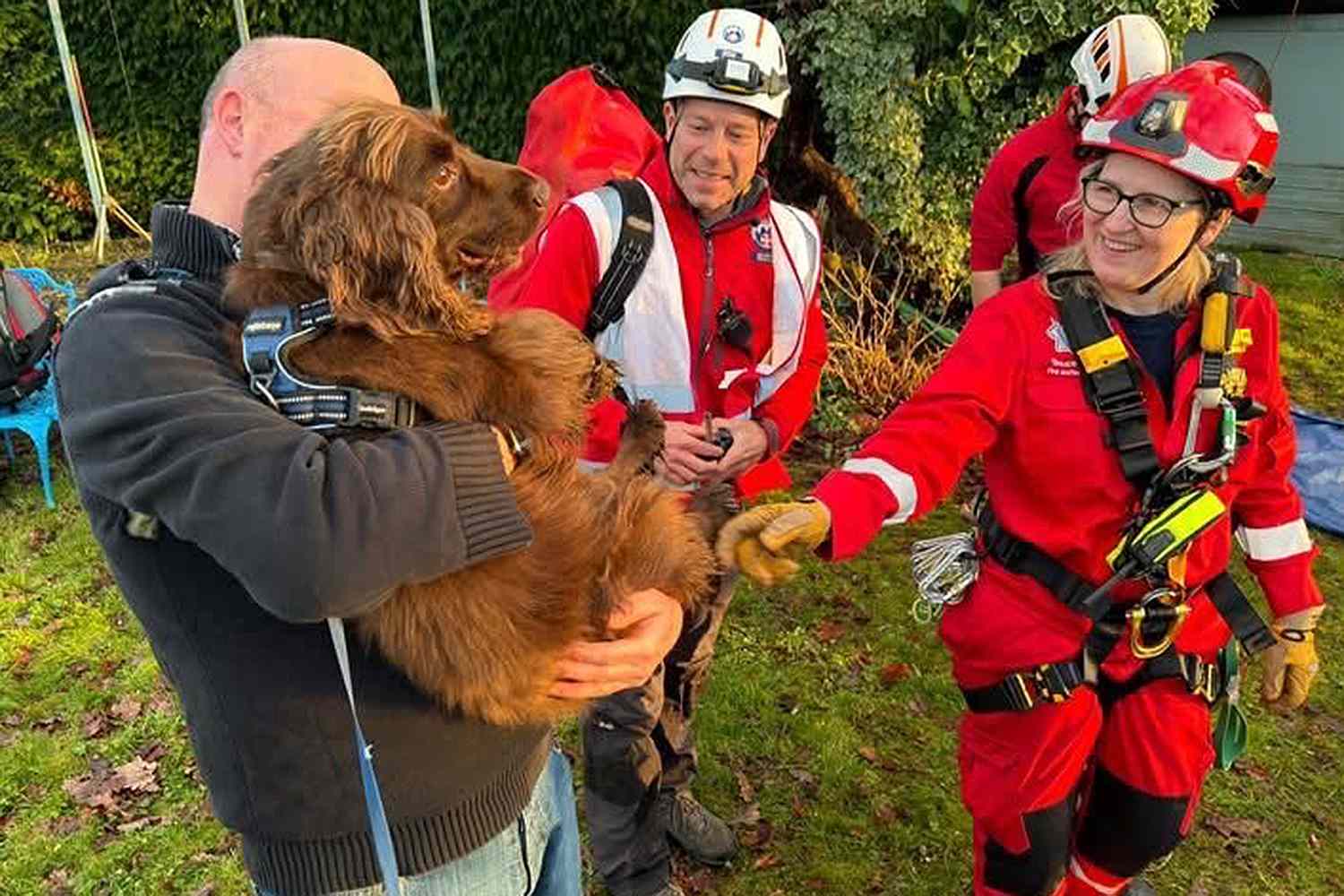 Dog 'absolutely fine' after taking a long walk off a short cliff while ...