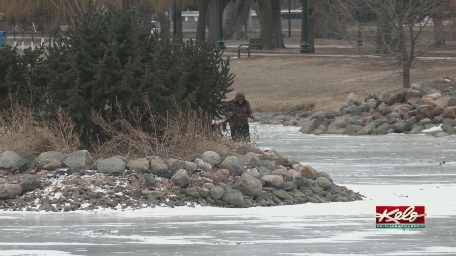 How much snow have we gotten in January?